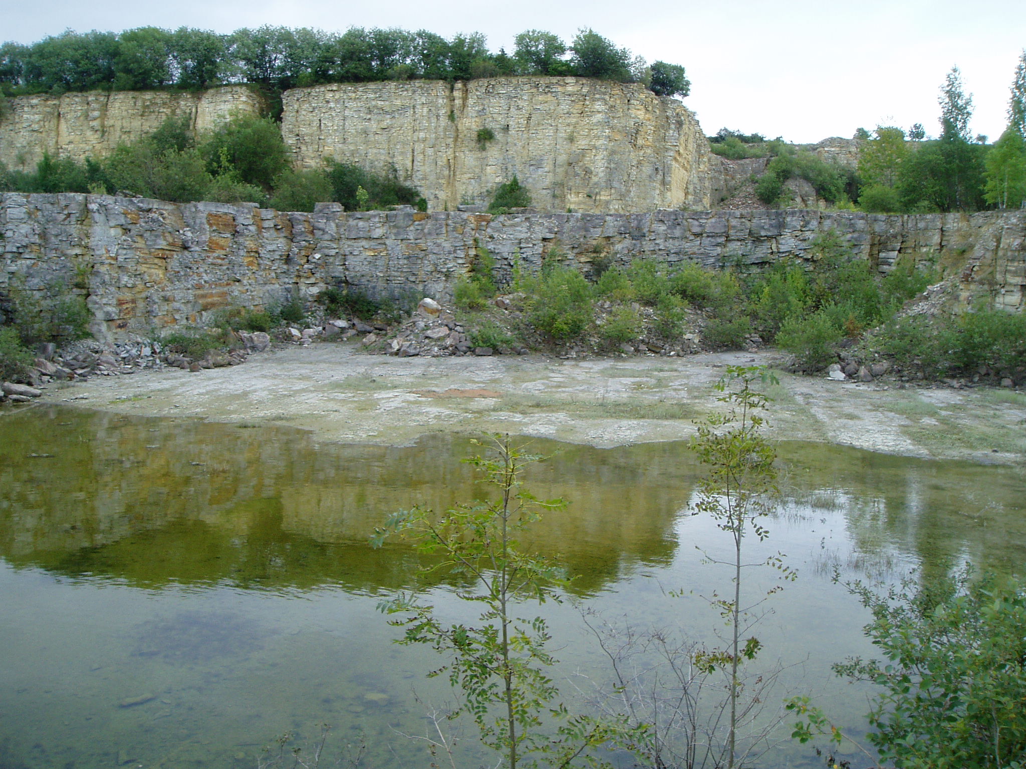aktuell - Stadt Geseke