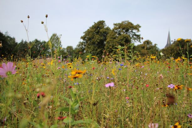 Presse-Archiv - Stadt Geseke